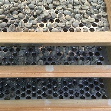 Selecting green Bean - screen size – Kaffeina Group B2B